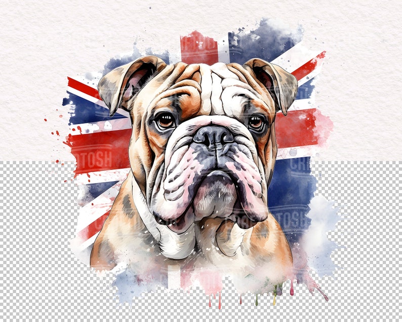 Watercolor British Dogs Clipart PNG Bundle - Union Jack Dog Pet ...