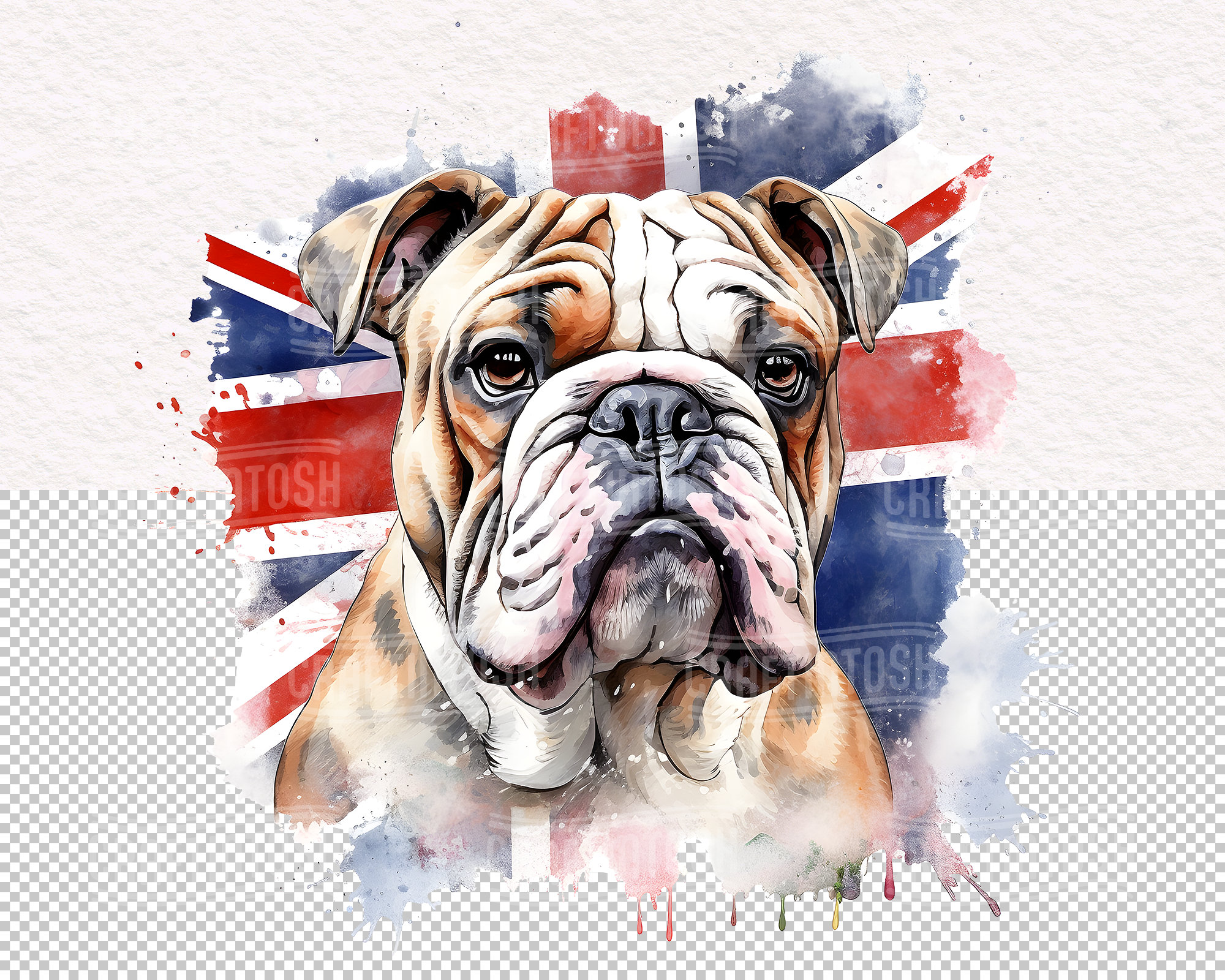Watercolor British Dogs Clipart PNG Bundle - Union Jack Dog Pet ...