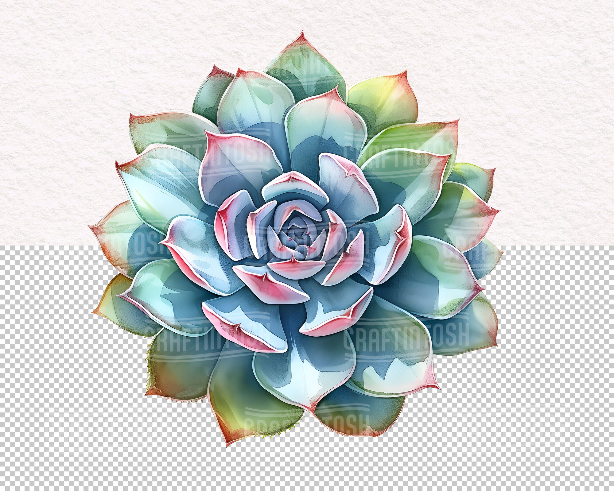 Watercolor Succulent Clipart Transparent Floral PNG Green Blue Purple ...