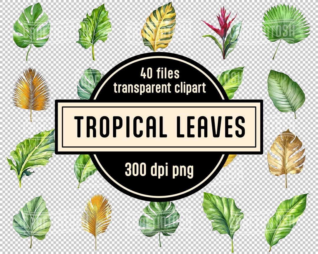 Green and Gold Tropical Leaves Clipart Green, Gold Foil Tropical Leaf ...