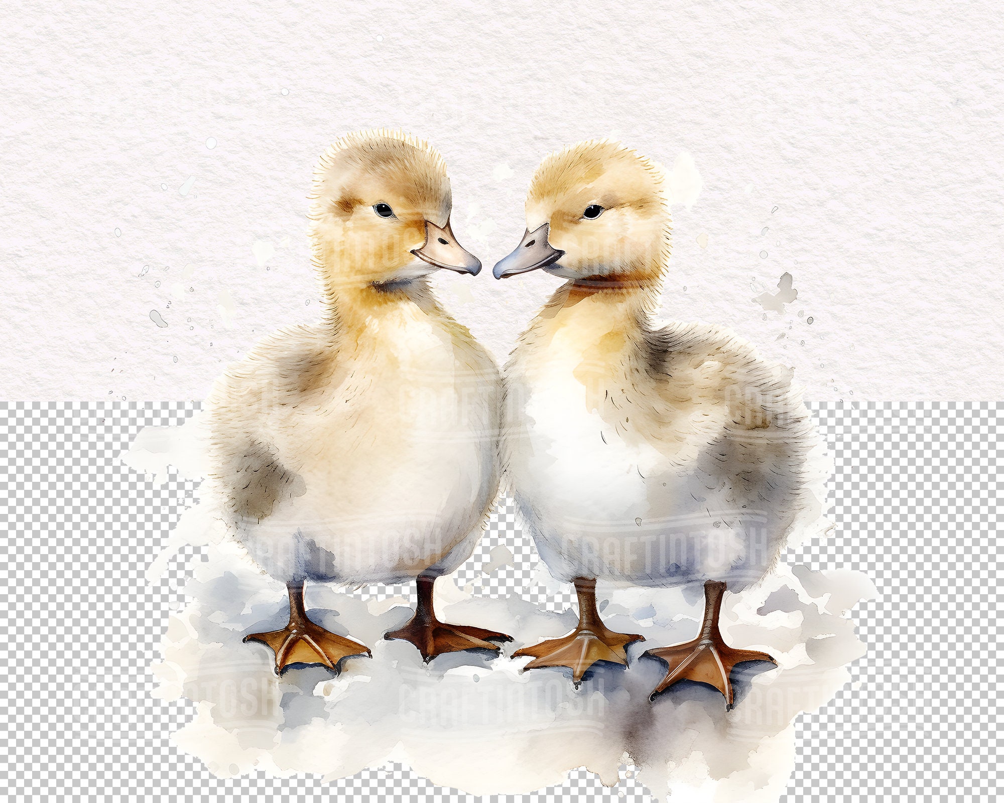 Watercolor Ducklings PNG Bundle - 28 Chicks Clipart, Easter, Baby Ducks ...