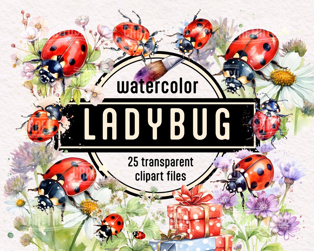 Watercolor Red Ladybug Clipart PNG Set - Digital Graphics Instant ...
