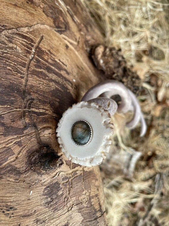 Helix Hair Fork Carved From White Tail Deer Antler With | Etsy