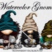 Princess Bride as You Wish Gnome Family PNG Clipart. 5 PNG Files Garden ...