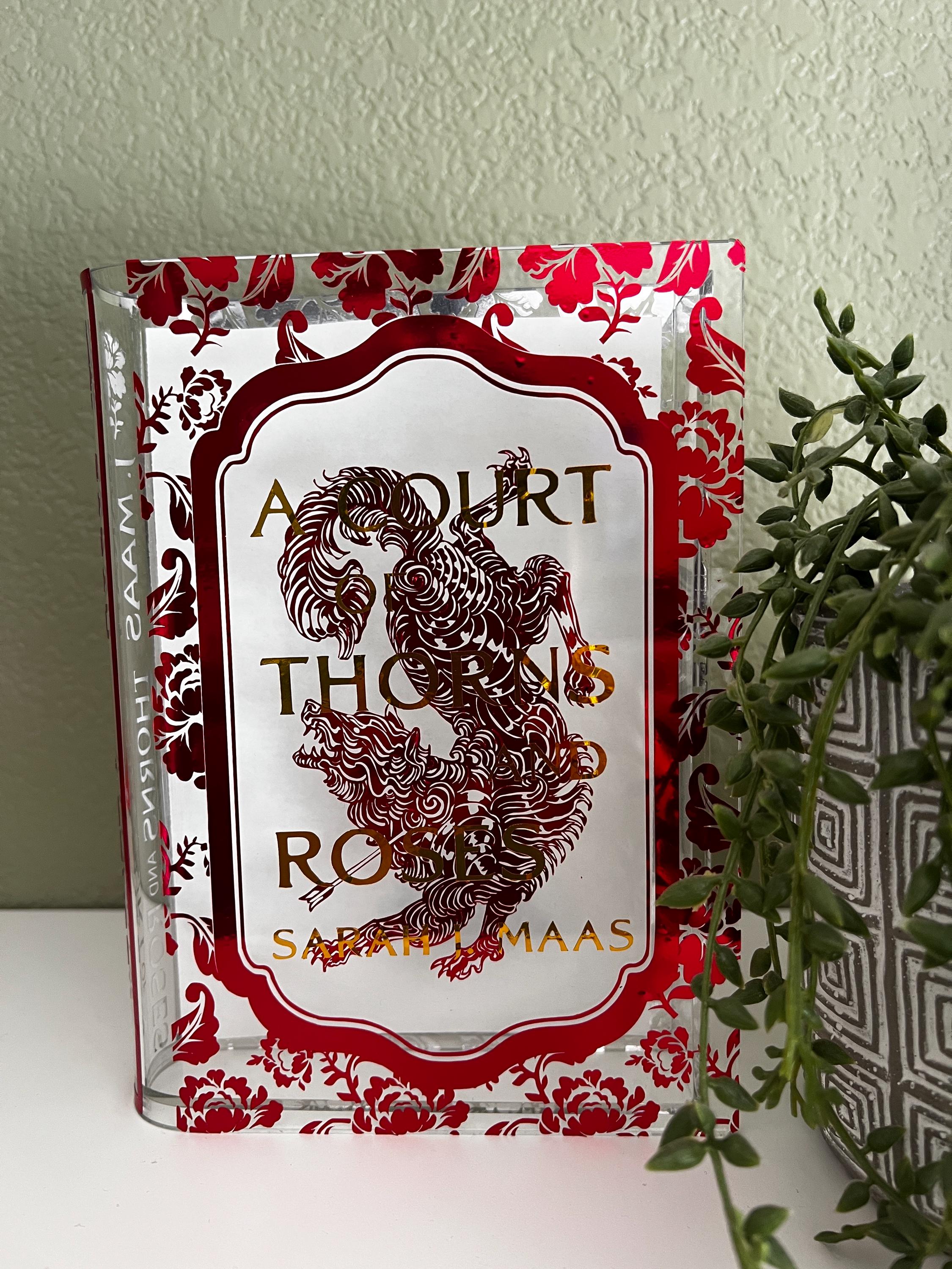 A Court of Throne and Roses Book Vase, Sarah J Mass, SJM Merch, Velaris ...