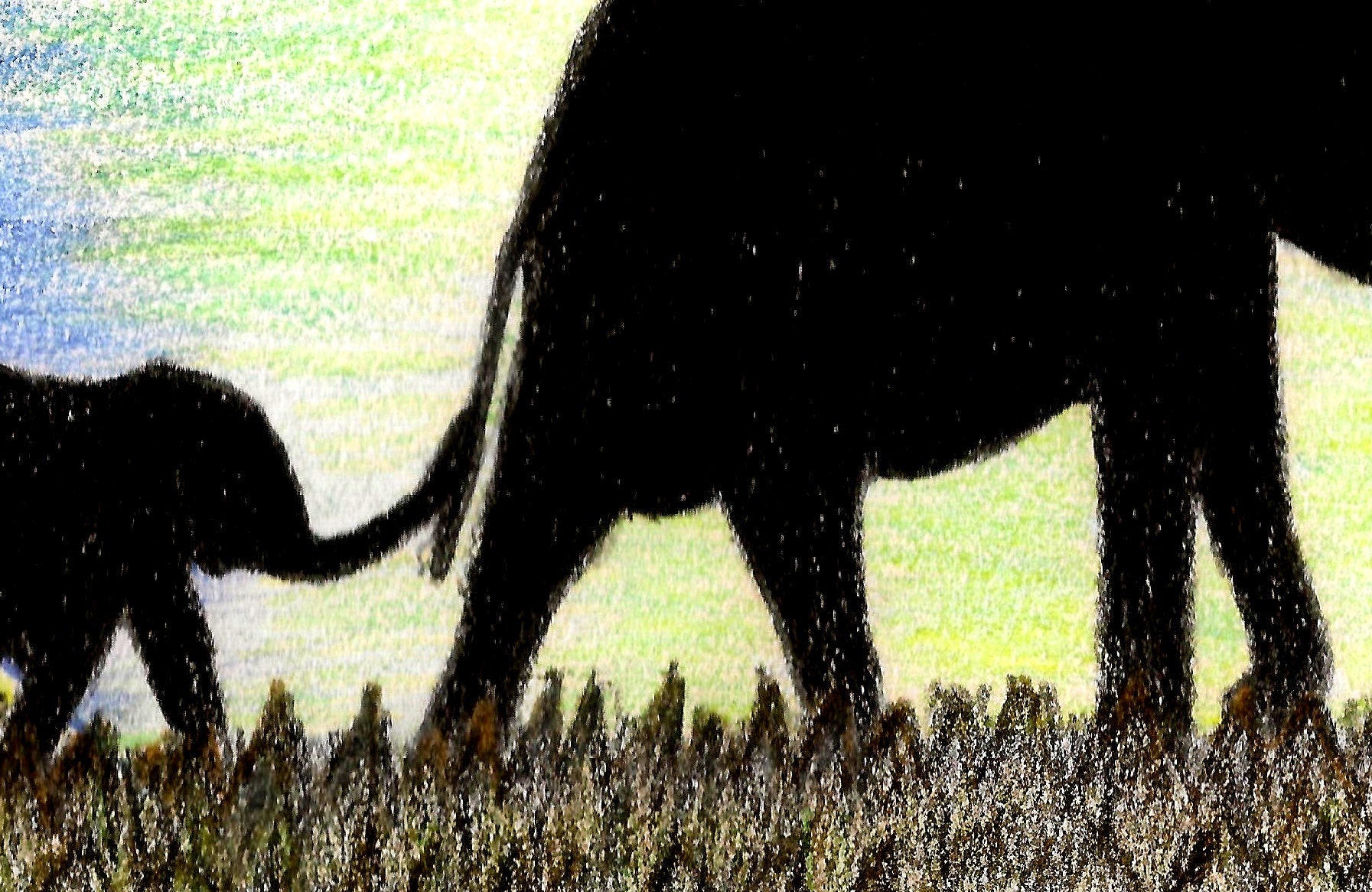 Animal Drawing Elephant Colored Pencil Drawing Elephant Art - Etsy