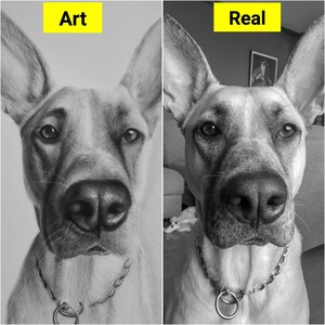 Custom Dog Drawing, Dog Memorial, Photo to Sketch, Charcoal Drawing ...