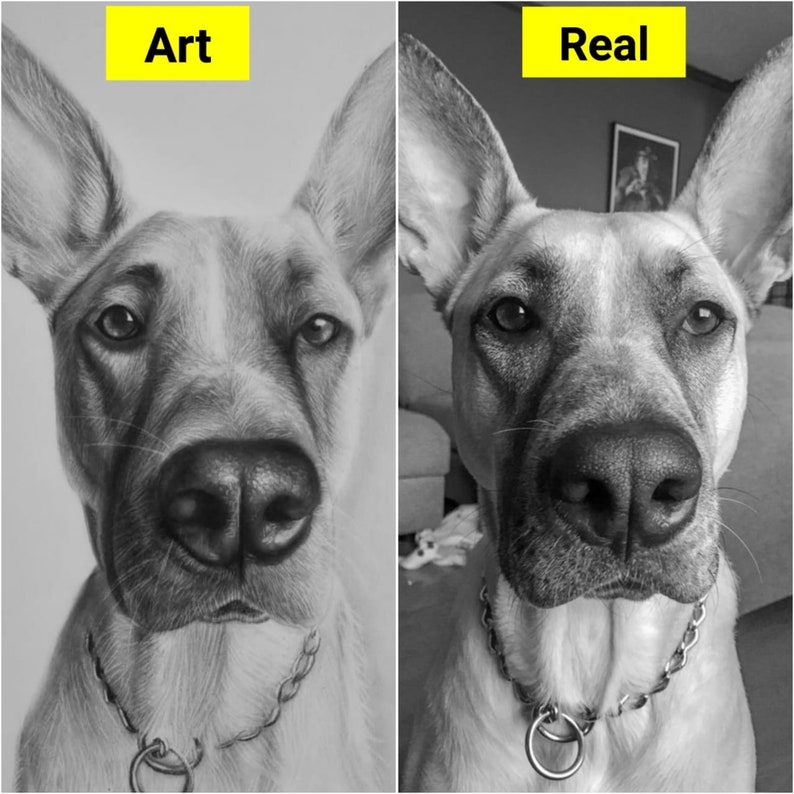 Custom Dog Drawing, Dog Memorial, Photo to Sketch, Charcoal Drawing ...