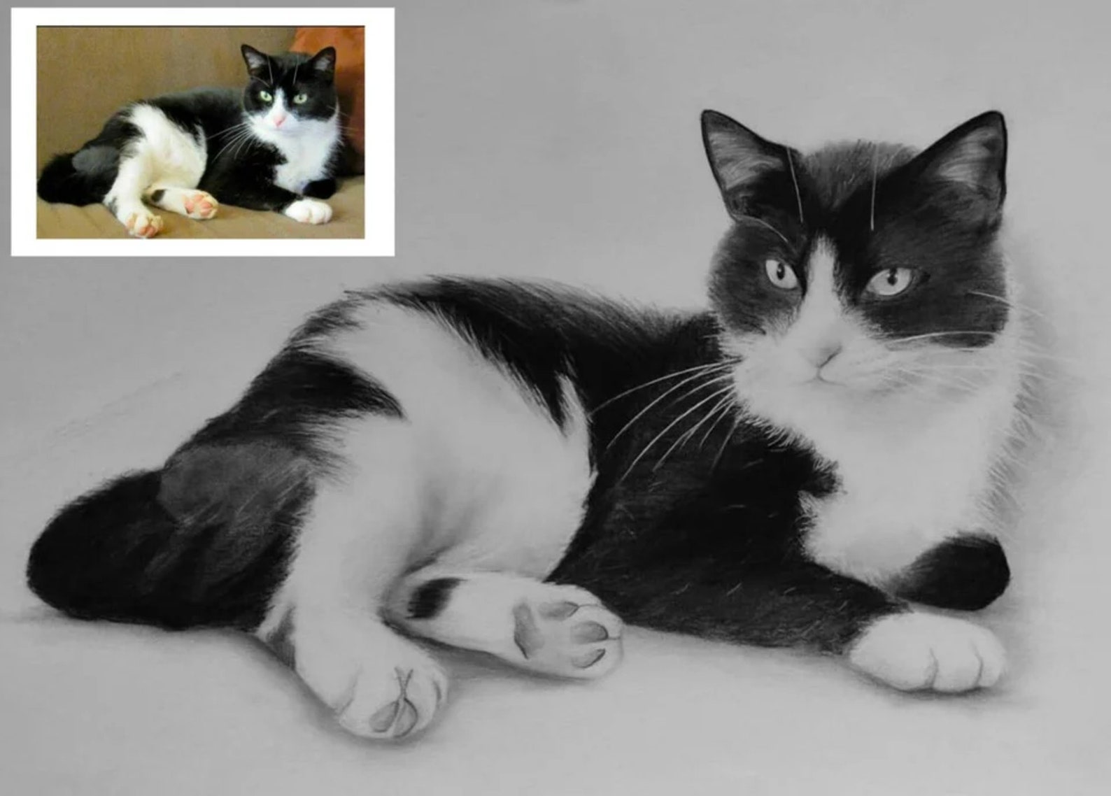 Custom Pet Drawing,pet Memorial, Custom Pet Portrait, Photo to Sketch ...