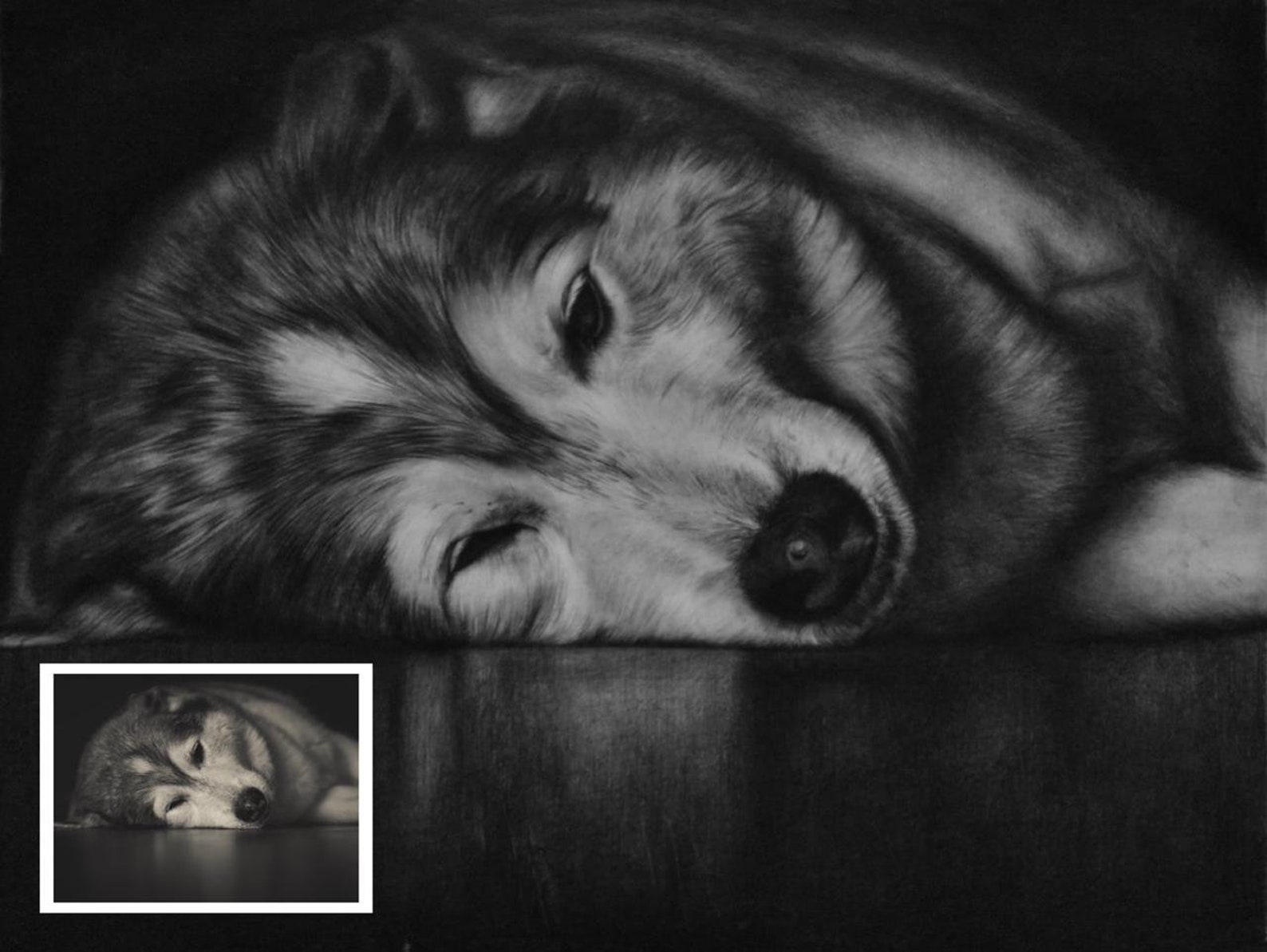 Custom Dog Drawing, Dog Memorial, Photo to Sketch, Charcoal Drawing ...