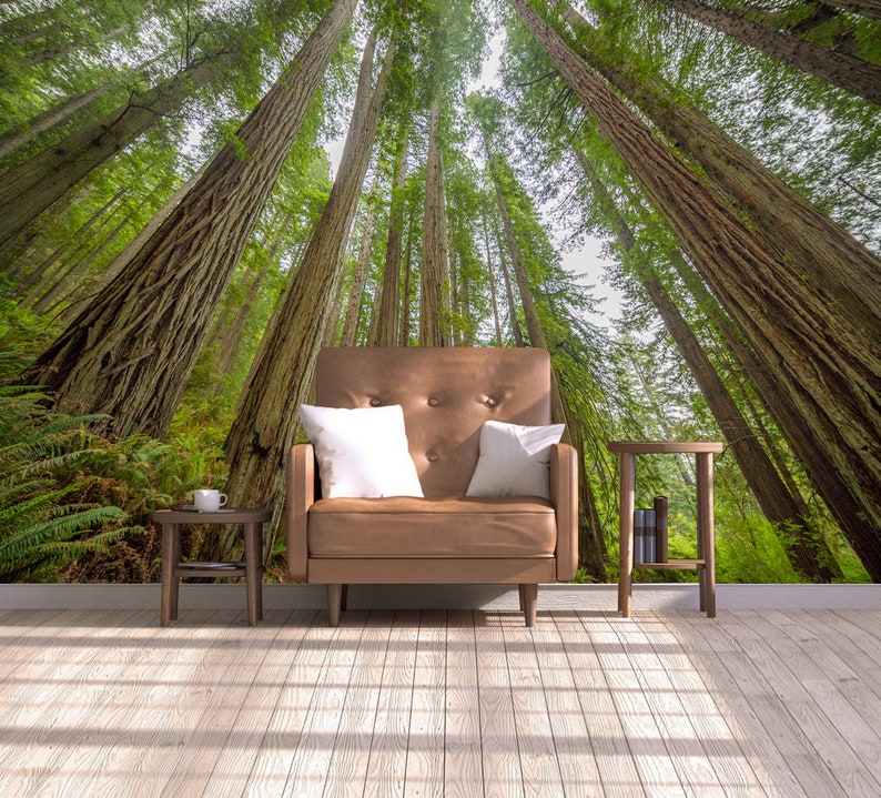 Sequoia Forest Mural,redwood National and State Parks Mural,giant Trees ...