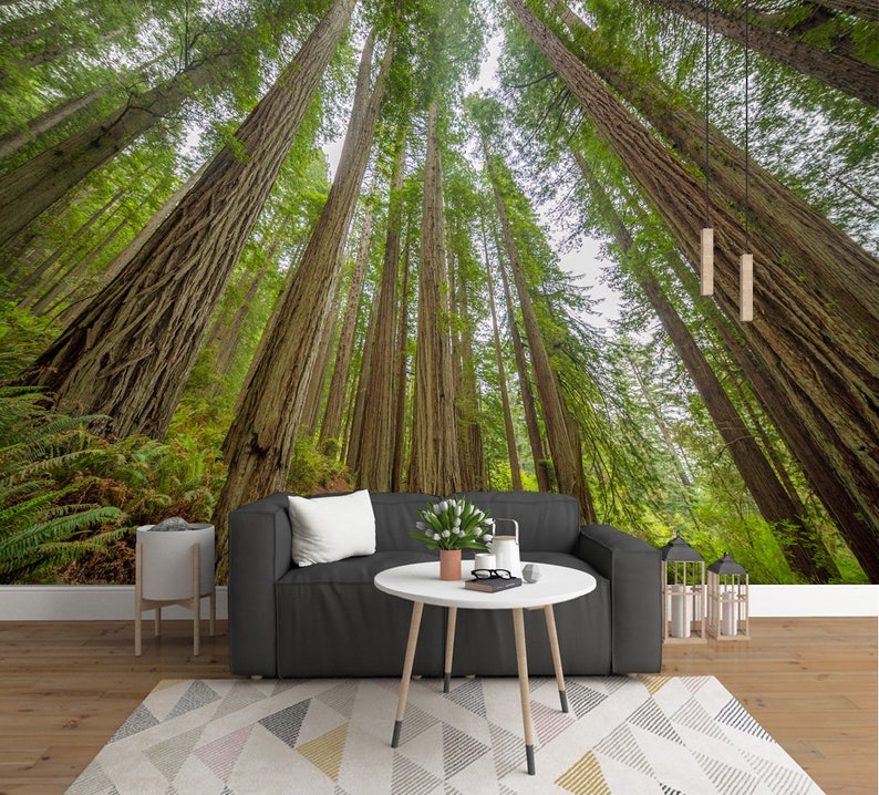 Sequoia Forest Mural,redwood National and State Parks Mural,giant Trees ...