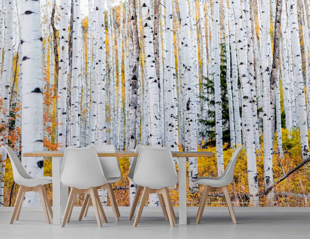 Aspen Trees Removable Fabric Wallpaper,peel and Stick，self Adhesive ...