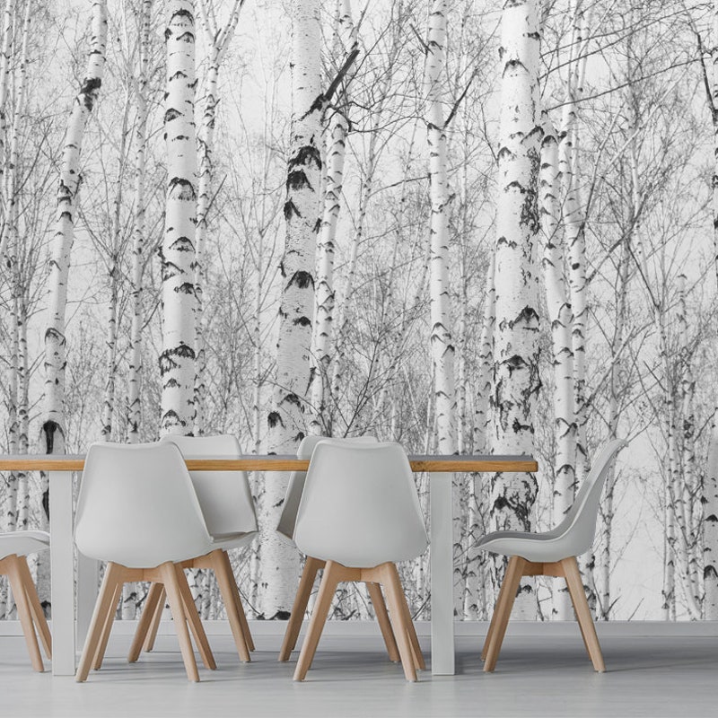 Birch Tree Mural - Etsy UK