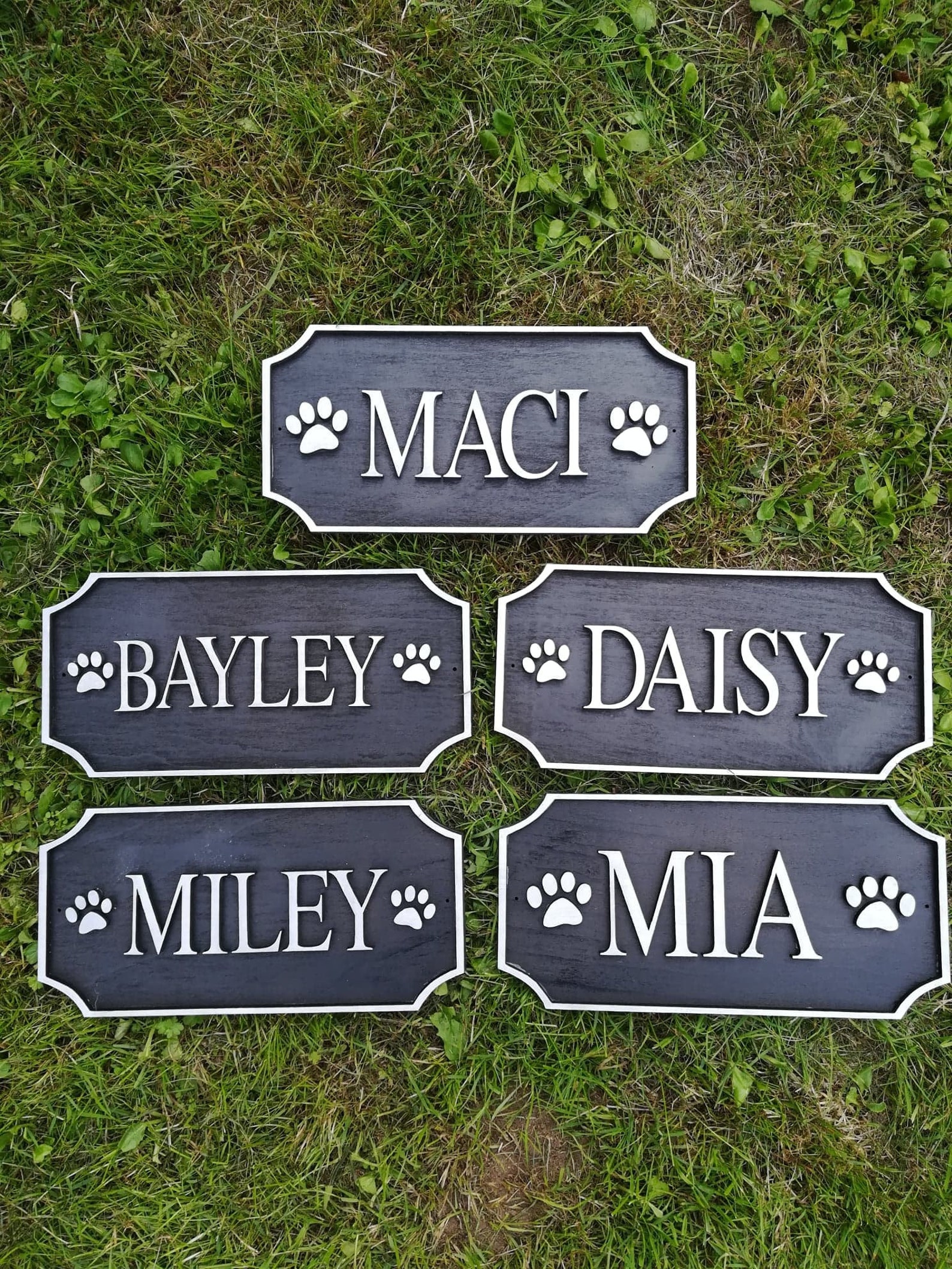 Stable Name Plaque Stable Name Plaque Wooden Horse Name Sign - Etsy