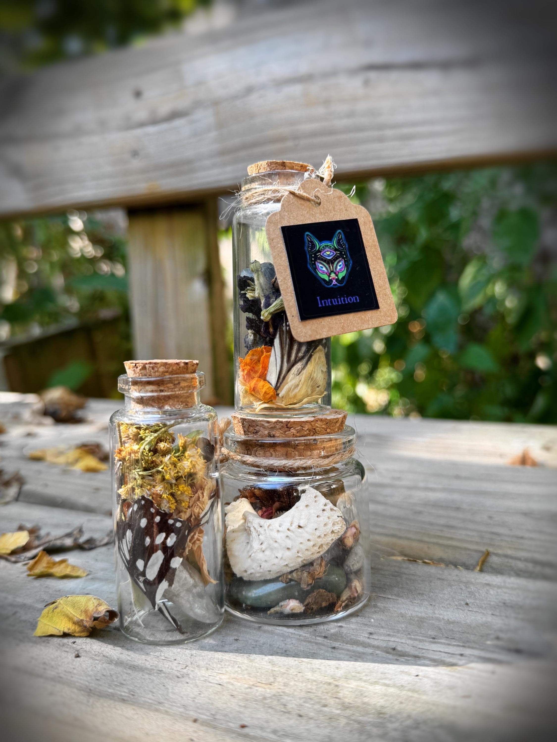 Intention Jars, Handmade Spell Jars, Unique Oddity Boytles, Altar Tools ...