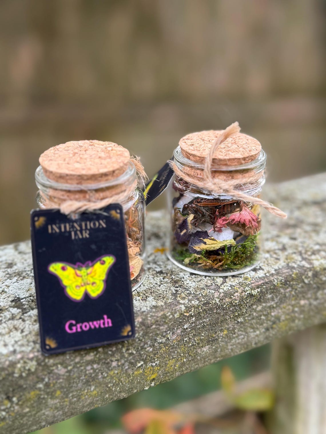 Intention Jars, Handmade Spell Jars, Unique Oddity Boytles, Altar Tools ...