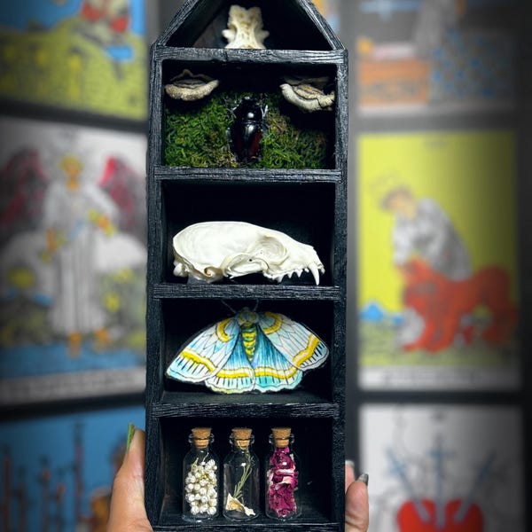 Curiosity - Etsy