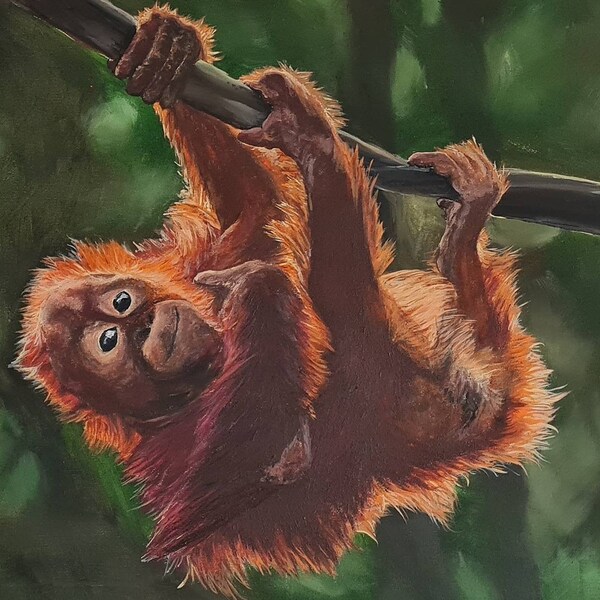 Baby Orangutan - Etsy