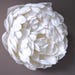Extra Large White Paper Peony: Floral Wall Decor, Wedding Backdrop - Etsy
