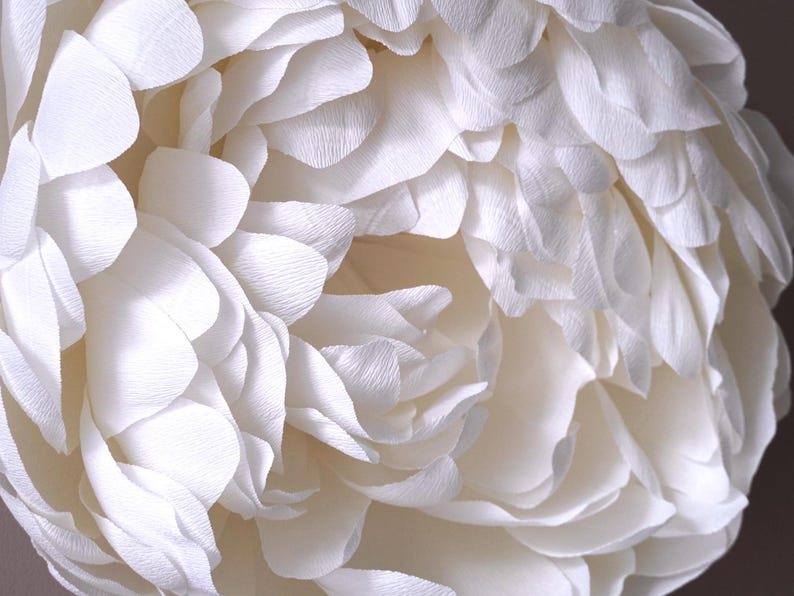 Extra Large White Paper Peony: Floral Wall Decor, Wedding Backdrop - Etsy