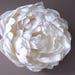 Extra Large White Paper Peony: Floral Wall Decor, Wedding Backdrop - Etsy