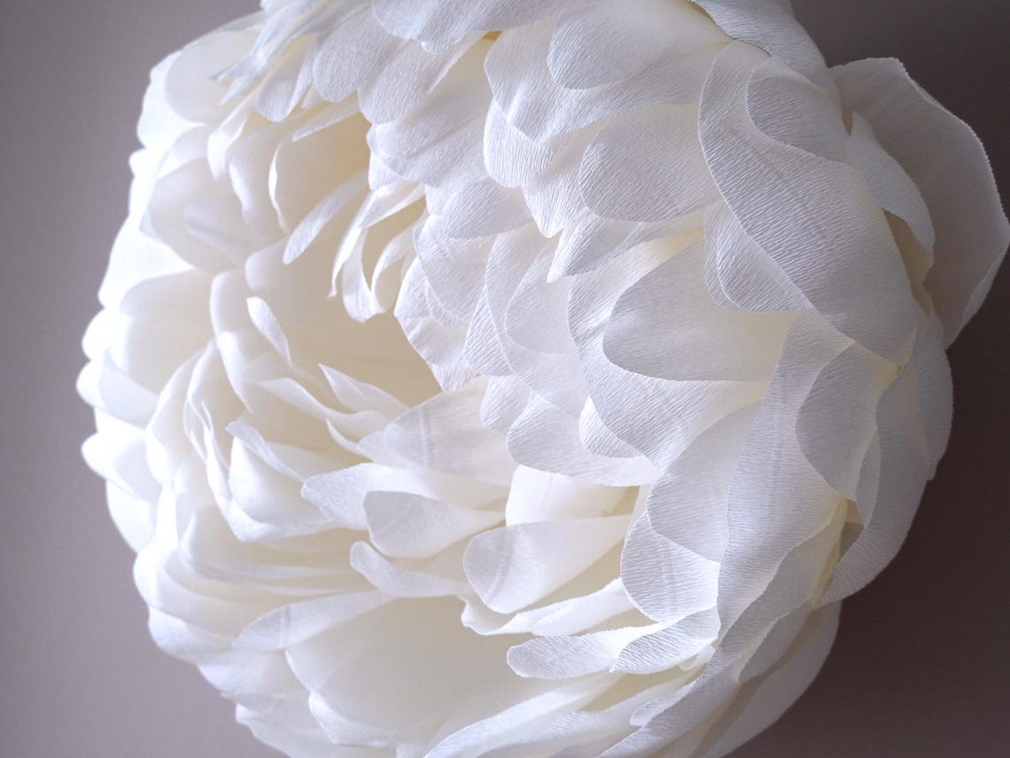 Extra Large White Paper Peony: Floral Wall Decor, Wedding Backdrop - Etsy