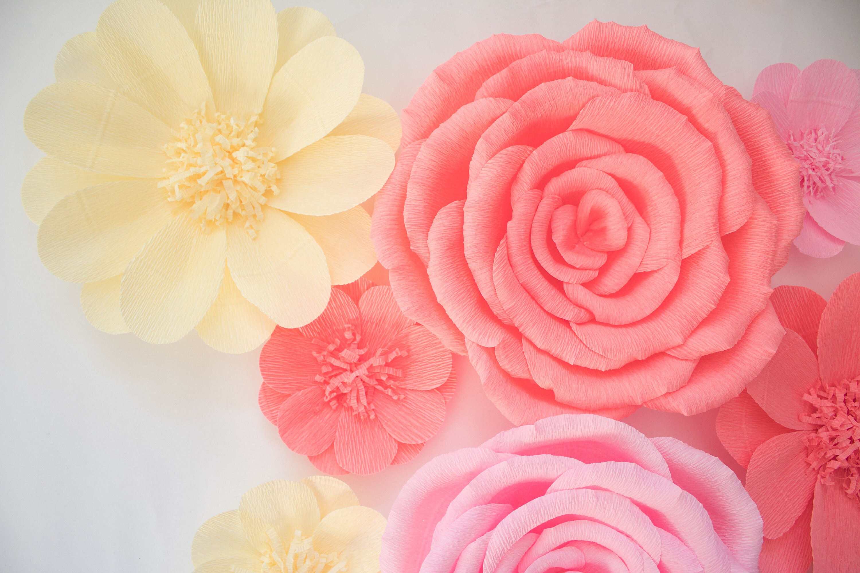 Crepe Paper Flowers, Nursery Wall Flowers, Paper Flower Backdrop, Baby ...