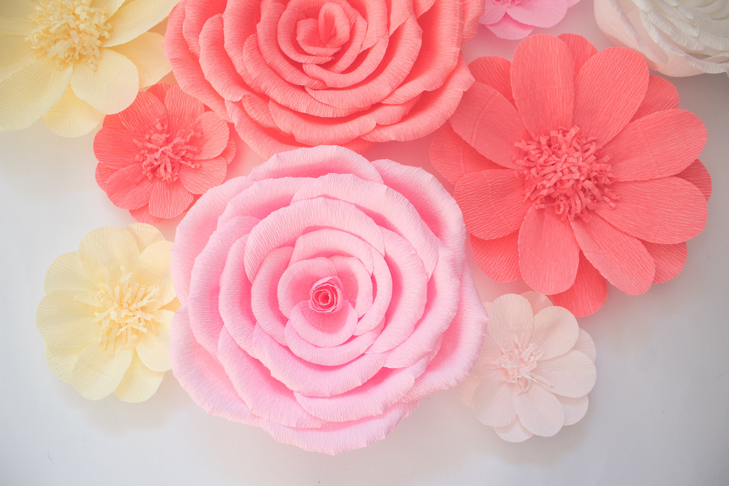 Crepe Paper Flowers, Nursery Wall Flowers, Paper Flower Backdrop, Baby ...