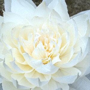 Crepe Paper Dahlia, Giant Paper Flower, Floral Backdrop, Wedding Table ...
