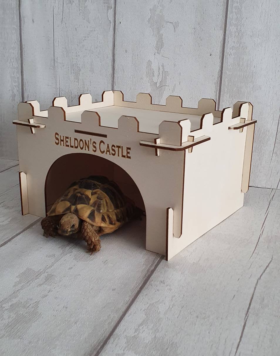 Personalised Tortoise House. - Etsy UK