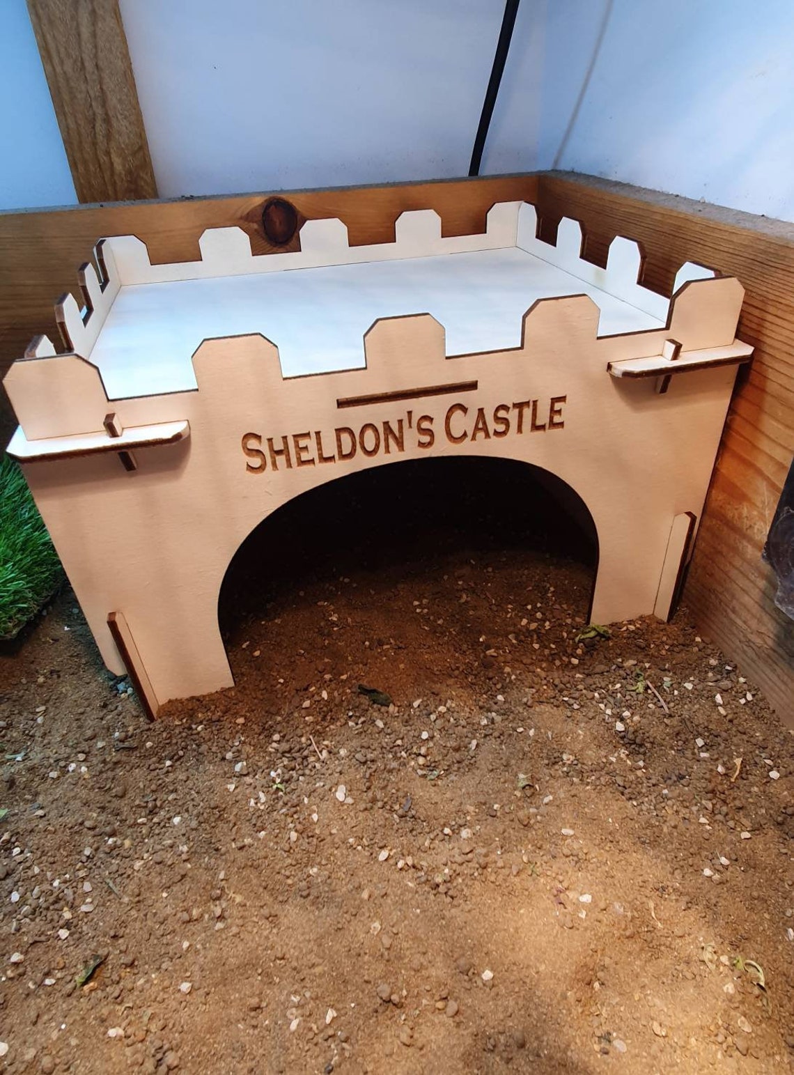 Personalised Tortoise House. - Etsy UK