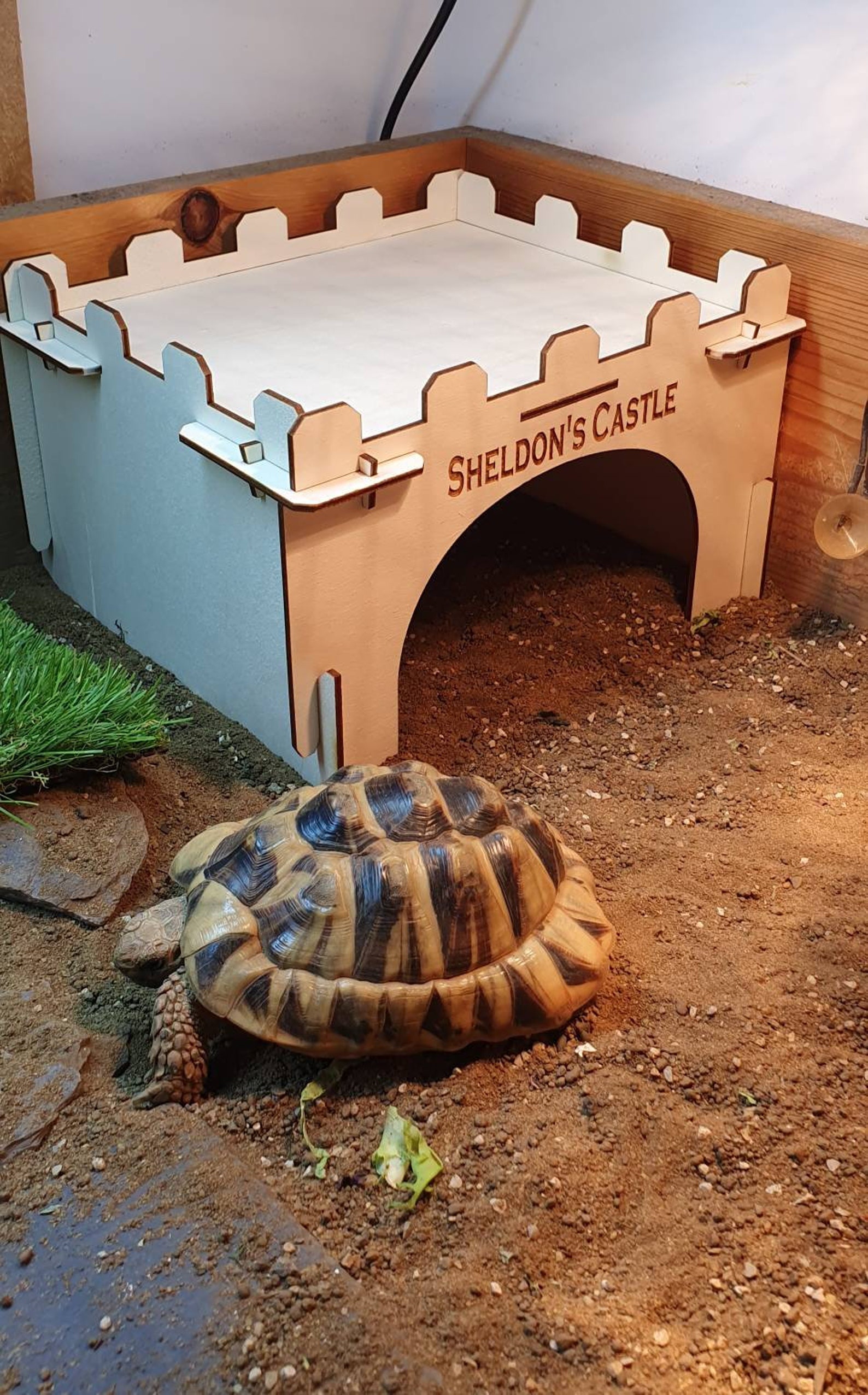 Personalised Tortoise House. - Etsy UK
