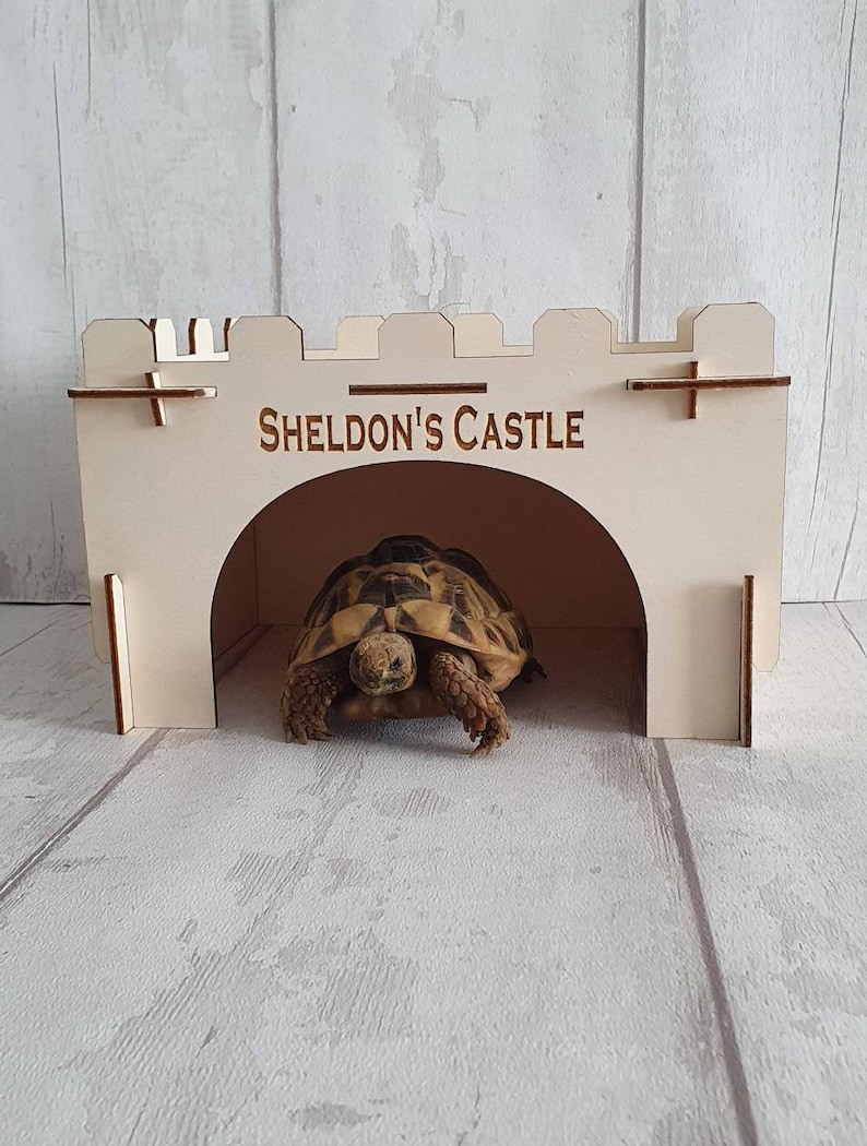 Personalised Tortoise House. | Etsy UK