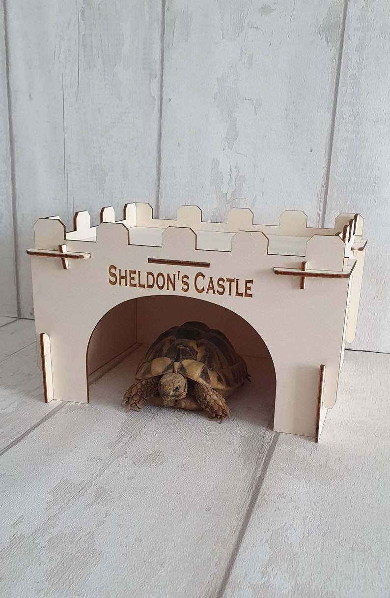 Personalised Tortoise House. | Etsy UK