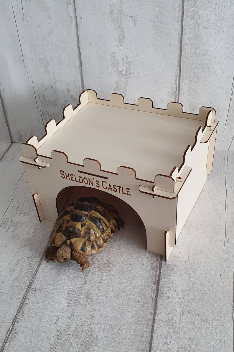 Personalised Tortoise House. - Etsy UK