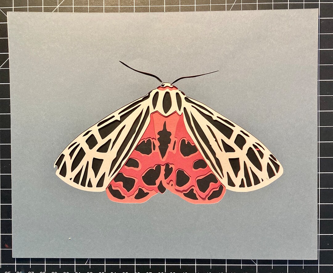 Virgin Tiger Moth Papercut Art - Etsy