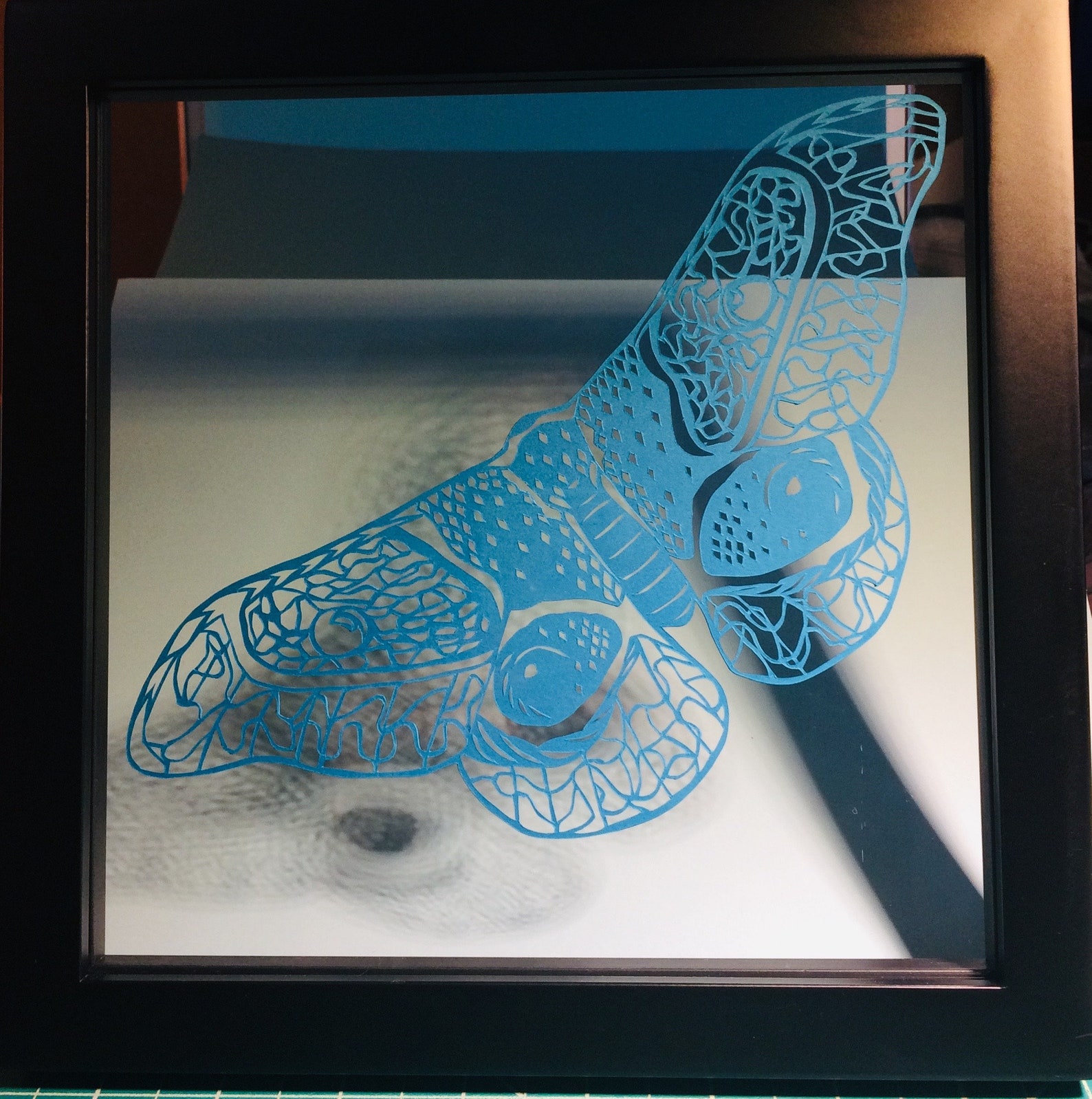 Polyphemus Moth Papercut - Etsy