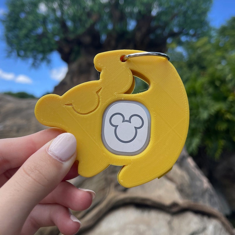 Lion King Key Holder - Etsy