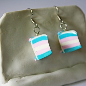 Transgender Flag Cake Slice Earrings, Miniature Food, Rainbow Cake ...