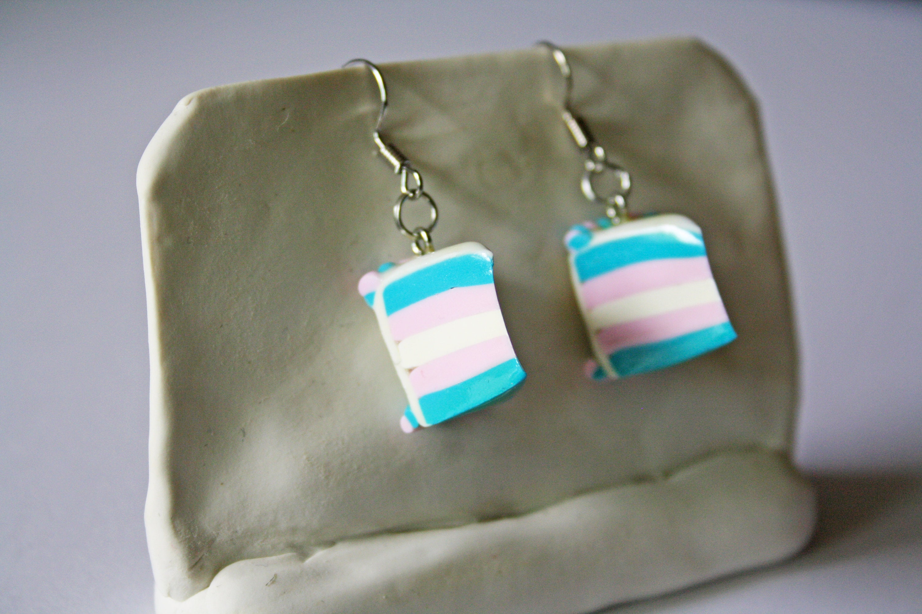 Transgender Flag Cake Slice Earrings Miniature Food Rainbow | Etsy