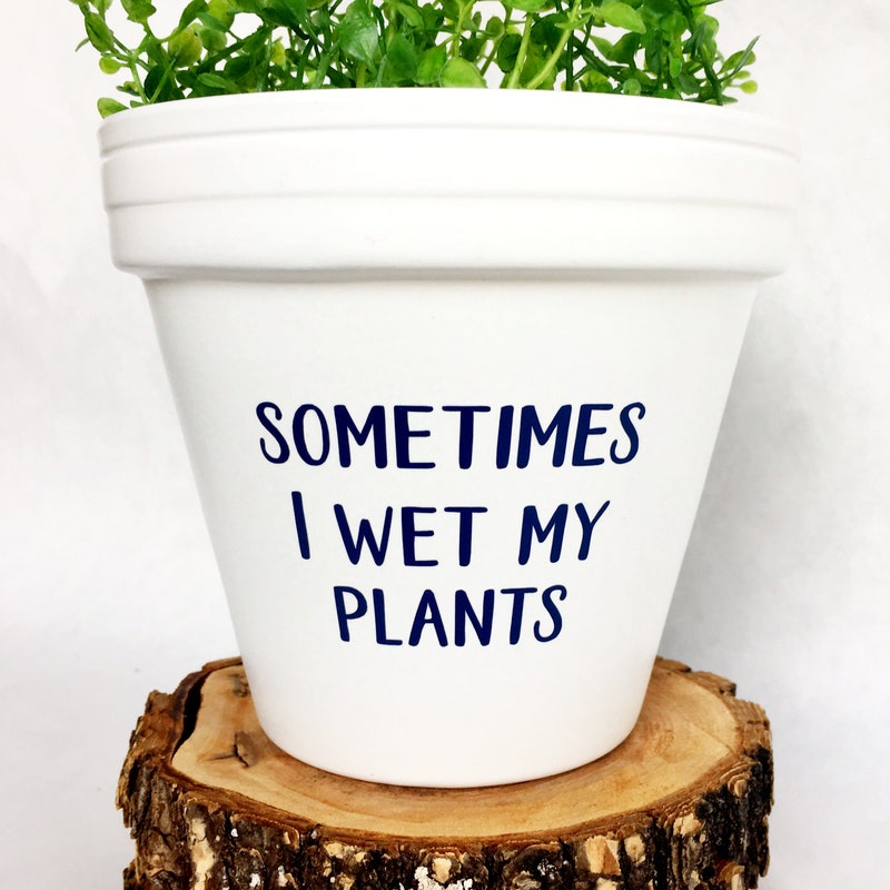 Funny Flower Pots - Etsy
