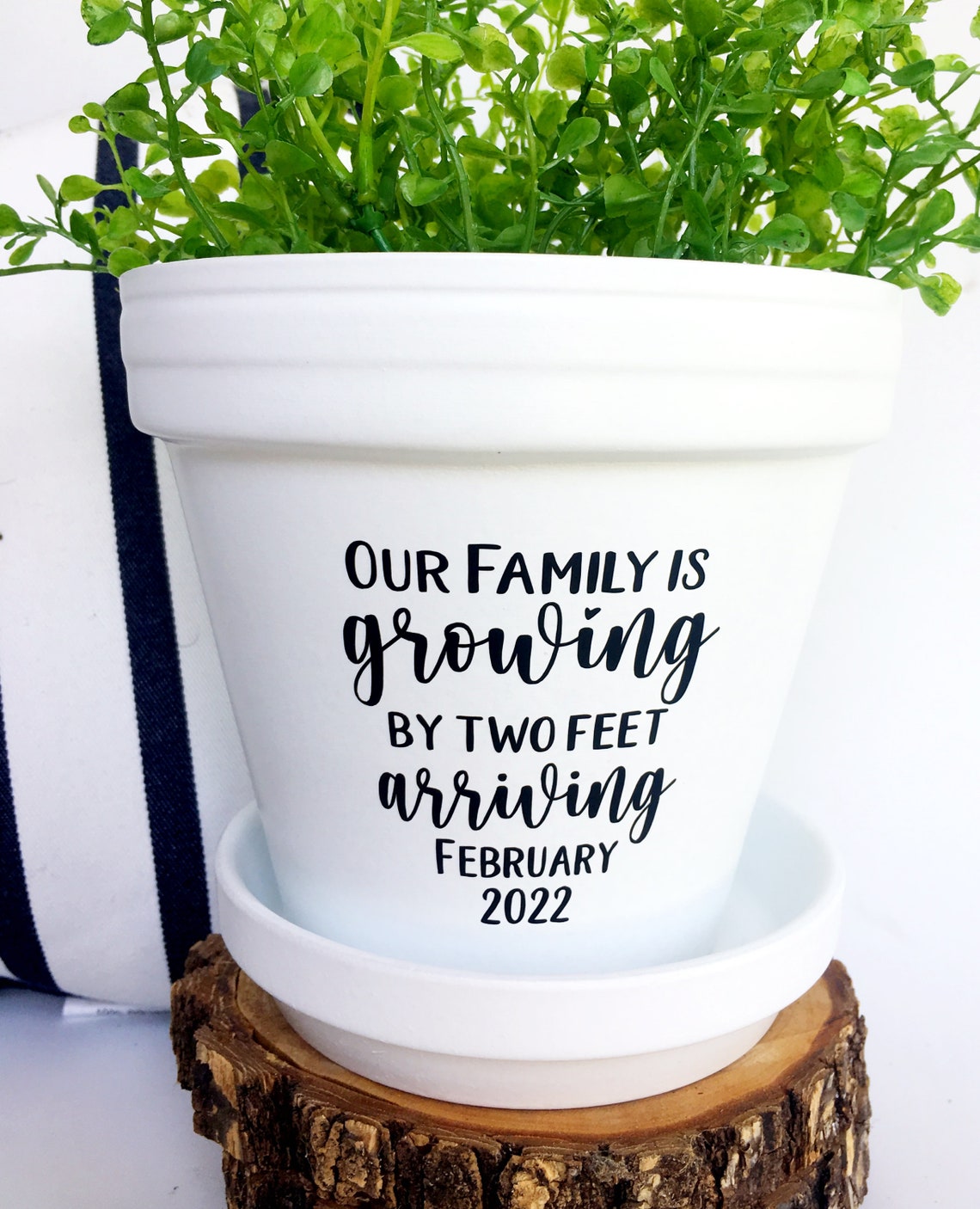 Our Family is Growing Pregnancy Announcement Growing | Etsy