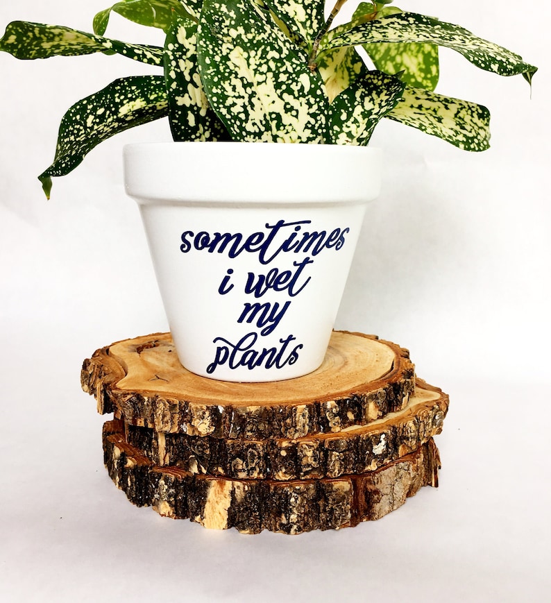 Sometimes I Wet My Plants I Wet My Plants Funny Flower Pot - Etsy