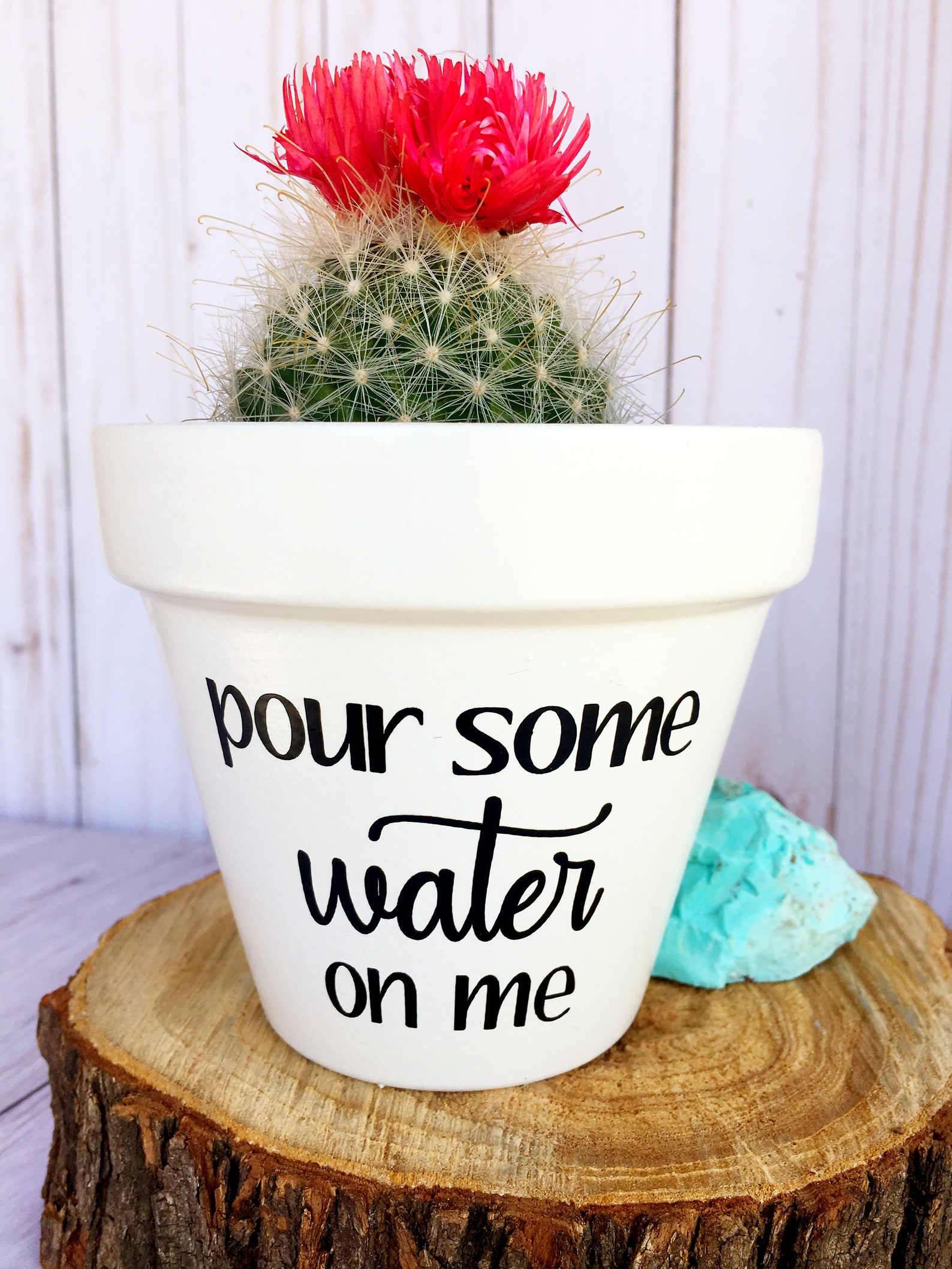 Pour Some Water on Me™ - Succulent Gift - Funny Pot - Plant Pun - Plant ...