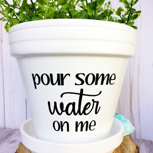 Pour Some Water on Me™ - Succulent Gift - Funny Pot - Plant Pun - Plant ...