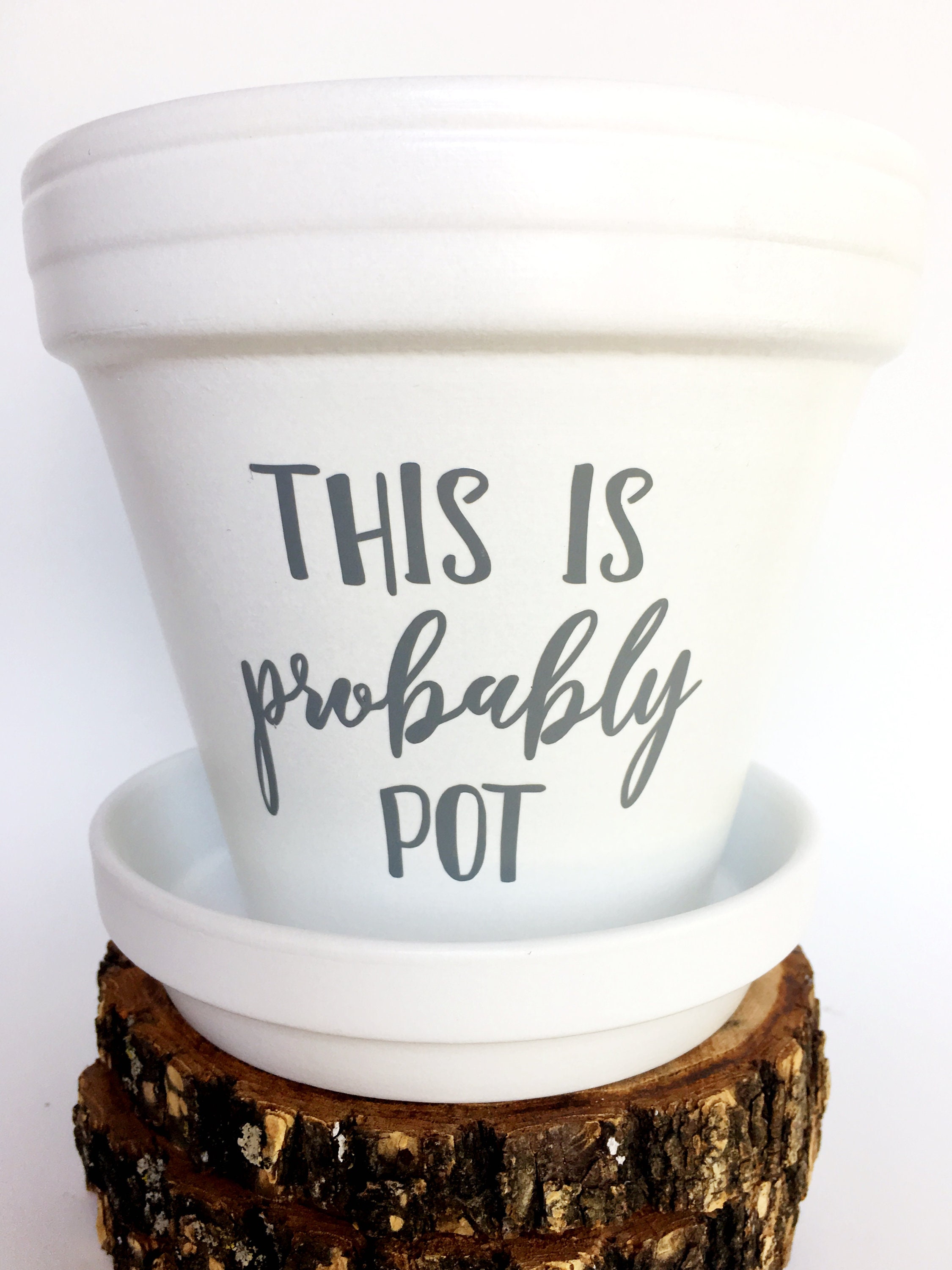 This is Probably Pot™ - This is Probably Pot - Plant Pun - Funny Pot ...