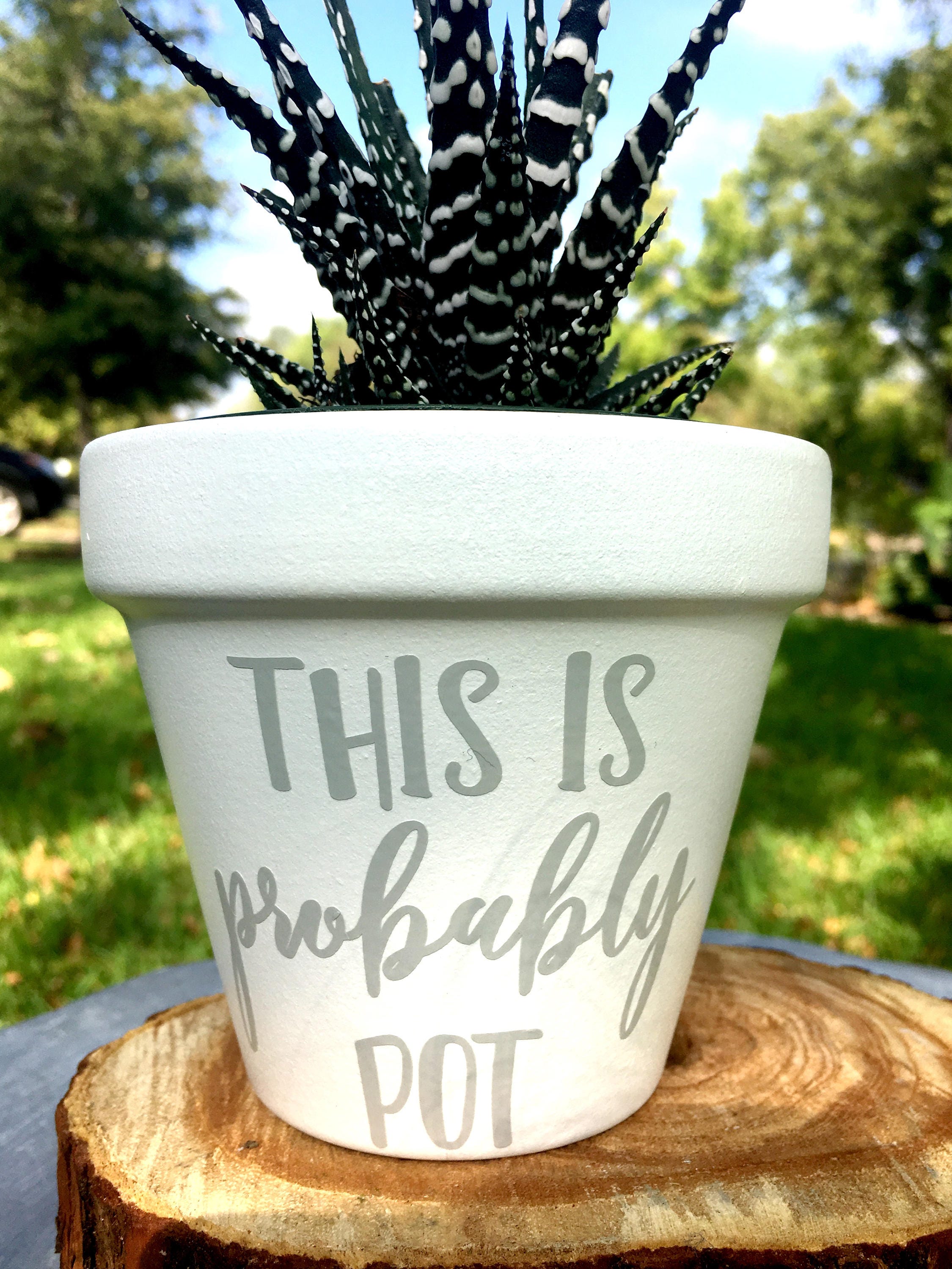 This is Probably Pot™ - This is Probably Pot - Plant Pun - Funny Pot ...