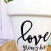 Love Grows Here Flower Pot Cute Pot Planter Pot Plant Pot Succulent Pot ...