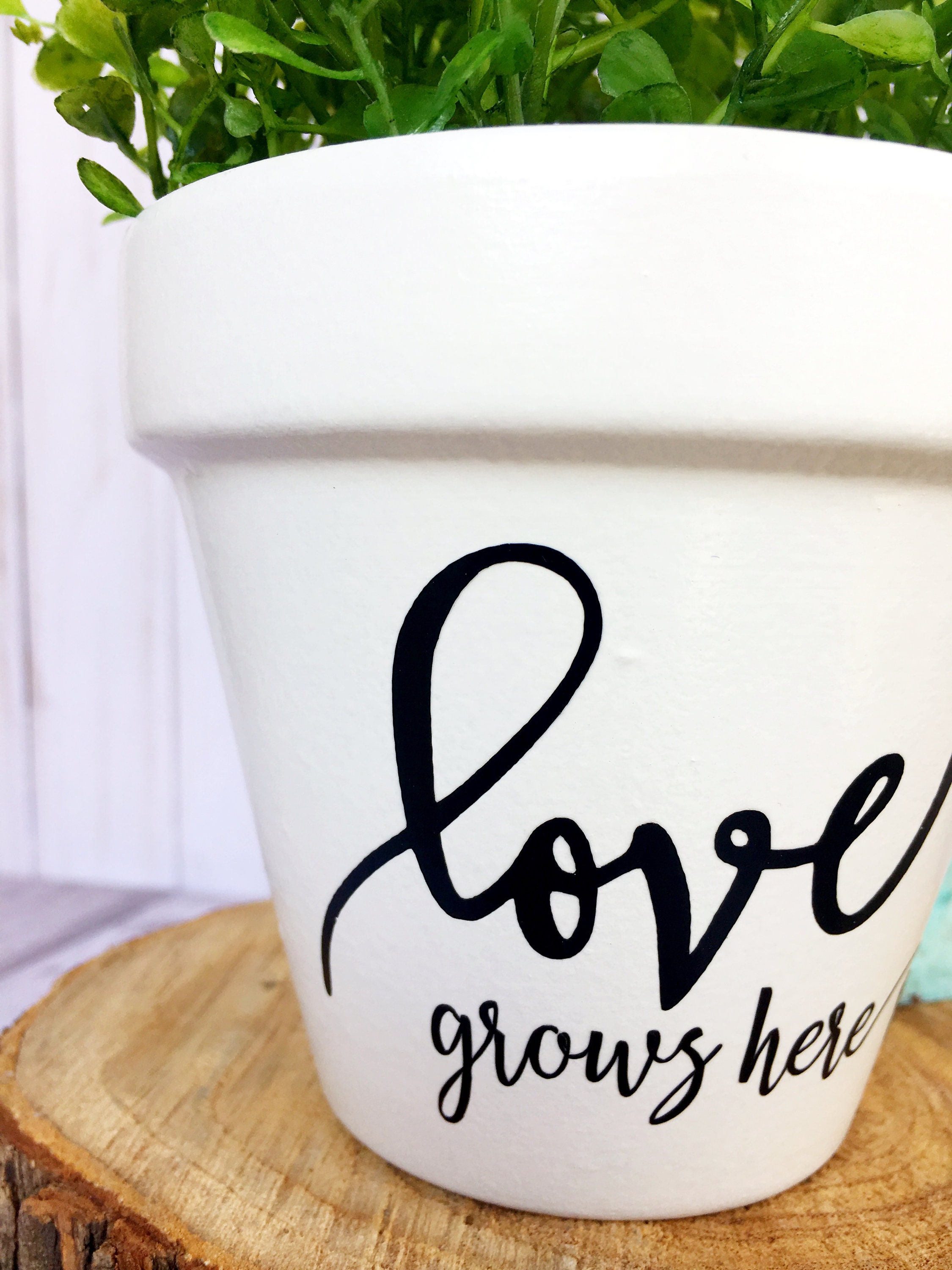 Love Grows Here Flower Pot Cute Pot Planter Pot Plant | Etsy